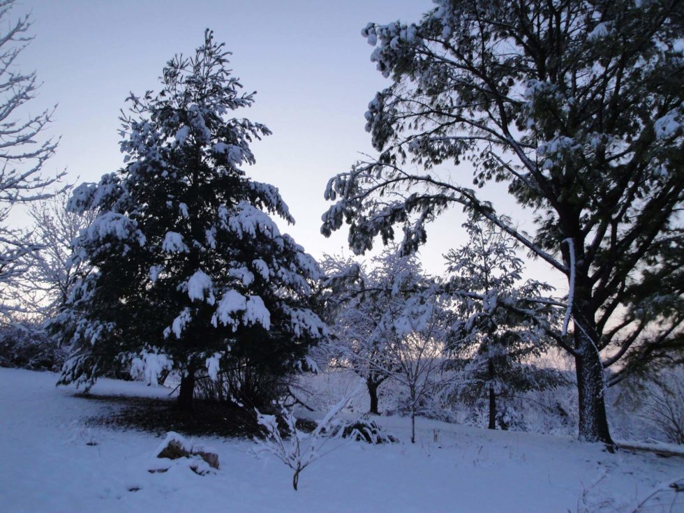 Blue River Valley Farm - Blue River Valley Farm